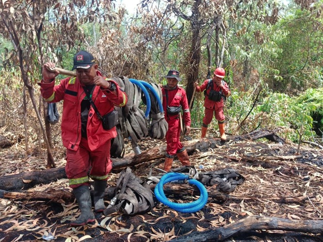 Gawat! Sempat Nyaris Lahap Kebun Sagu, Karhutla Bengkalis Akhirnya ...